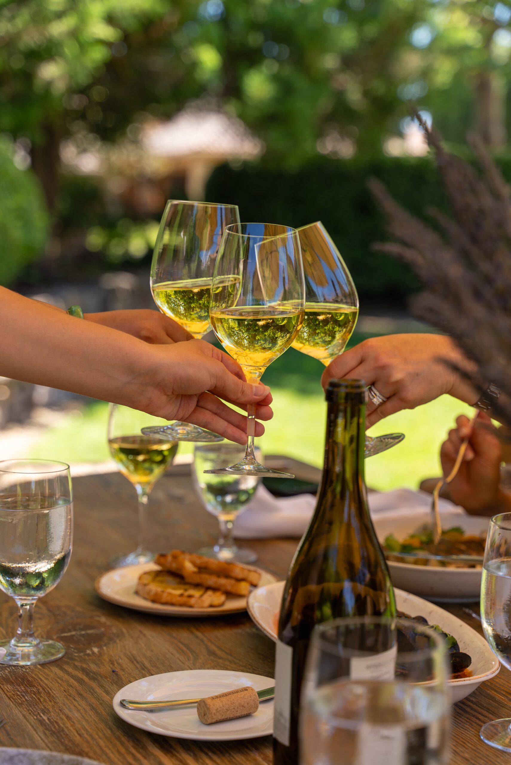 Luxury Sonoma Resort Accommodations | Vinarosa